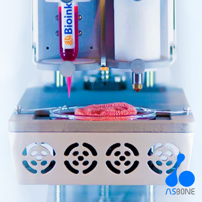 ASBONE – Absorbable Structures for Bone Regeneration